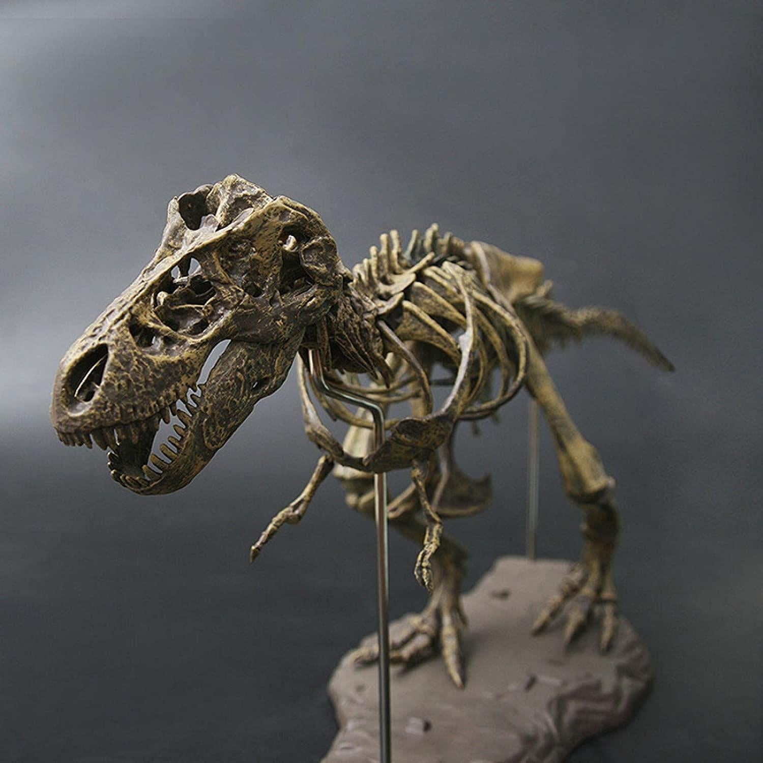 3D DIY Tyrannosaurus Rex Skeleton Fossil Large Model Kit – metalkitor